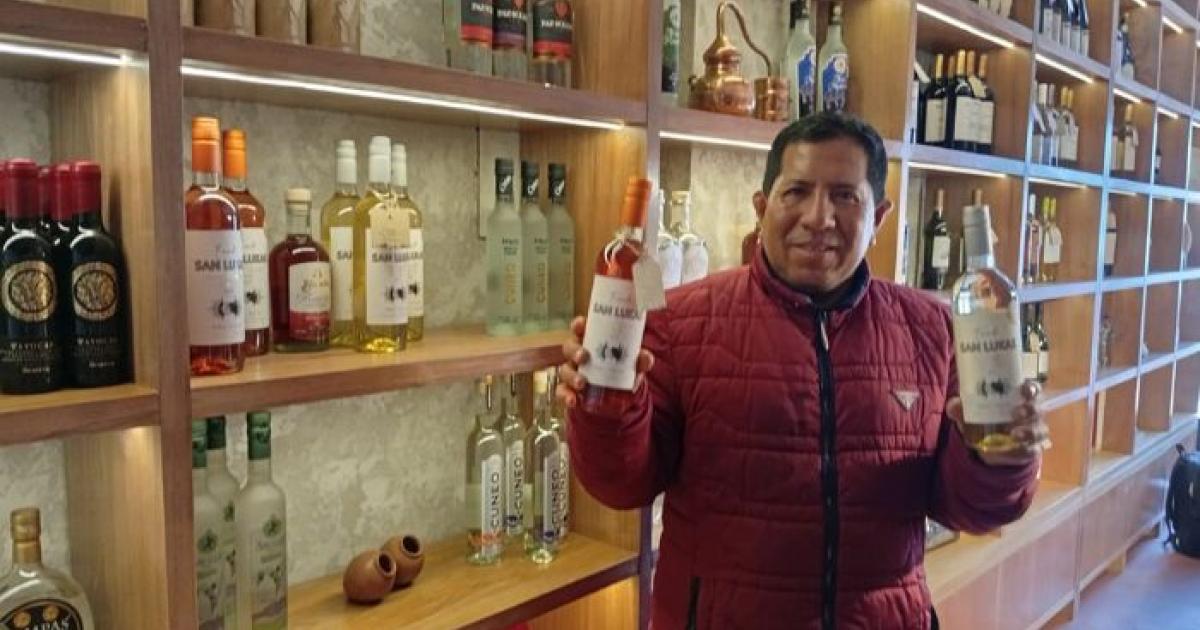 Áncash: vinos de Huarmey llegan al mercado limeño y estarán en el Salón ...